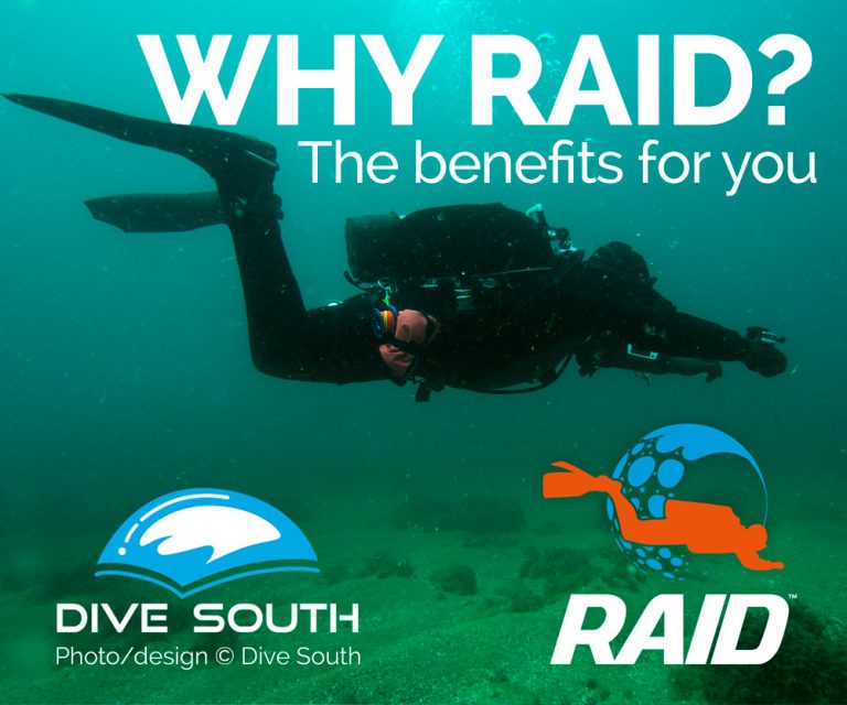 Learn to Dive in Bournemouth & Poole - Welcome to Dive South