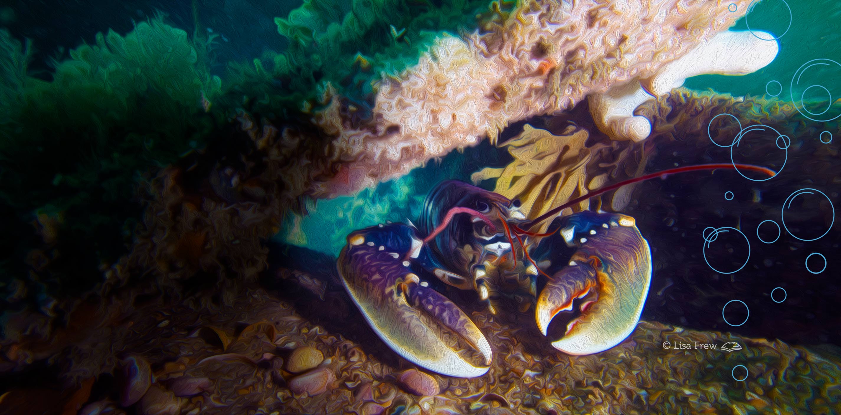 Learn to Dive in Bournemouth & Poole - Welcome to Dive South